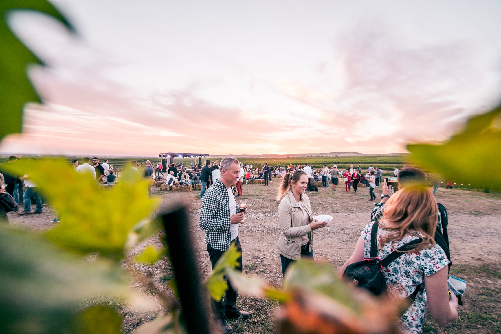 MAUVE – TOHANI WINE EXPERIENCE. JAZZ EDITION 2018 – Tohani Romania